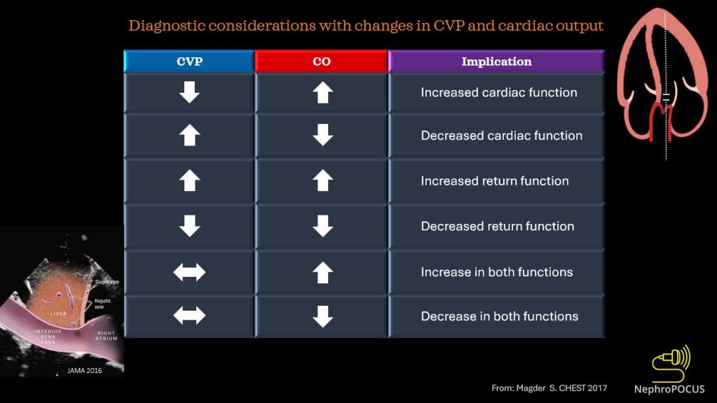 Infographics – NephroPOCUS